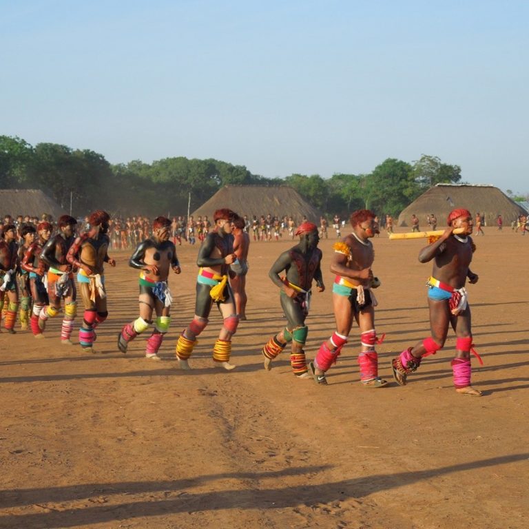 AIIS faculty travel to the Upper Xingu for Kuikuro kuarup ceremony ...
